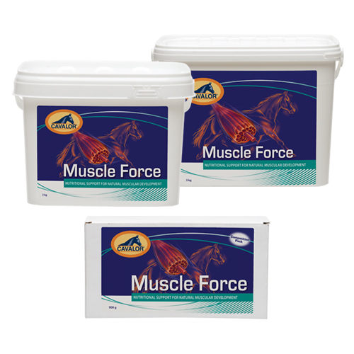Cavalor Muscle Force | Spieren Paard | Bestellen