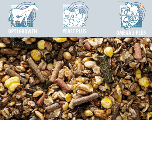 Cavalor Probreed | Aliment Chevaux | Commander