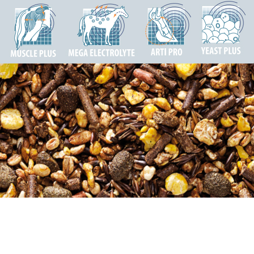 Cavalor Superforce | Paardenvoer | Bestellen