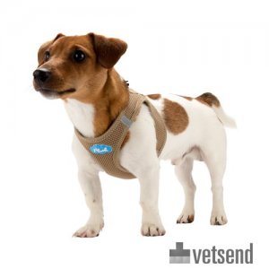 Curli Vest Air-Mesh Harness | Dog | Order