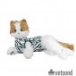 Medical Pet Shirt cat | Order Online