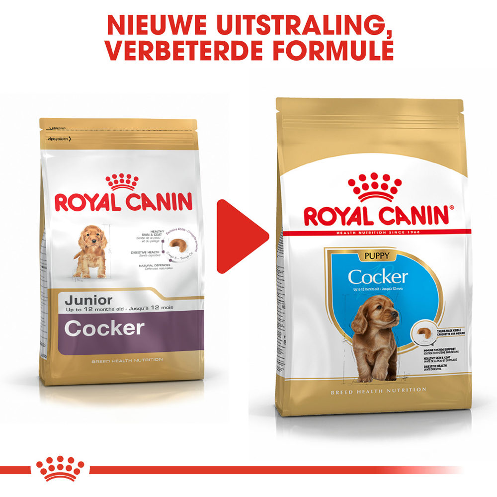 Royal Canin Cocker Puppy | Cocker Spaniel