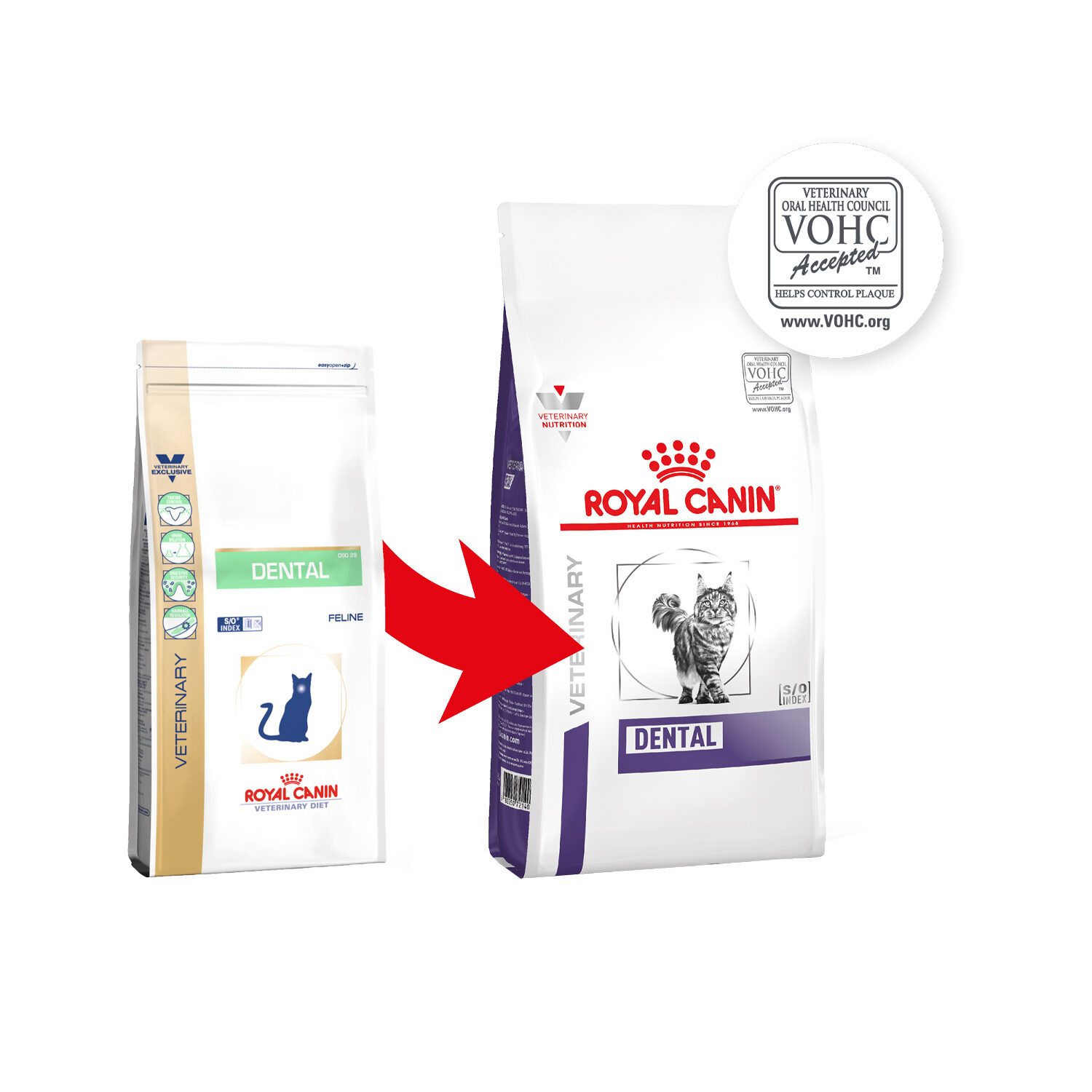 Royal Canin Dental kat | Bestellen | Gebitsverzorgende voeding
