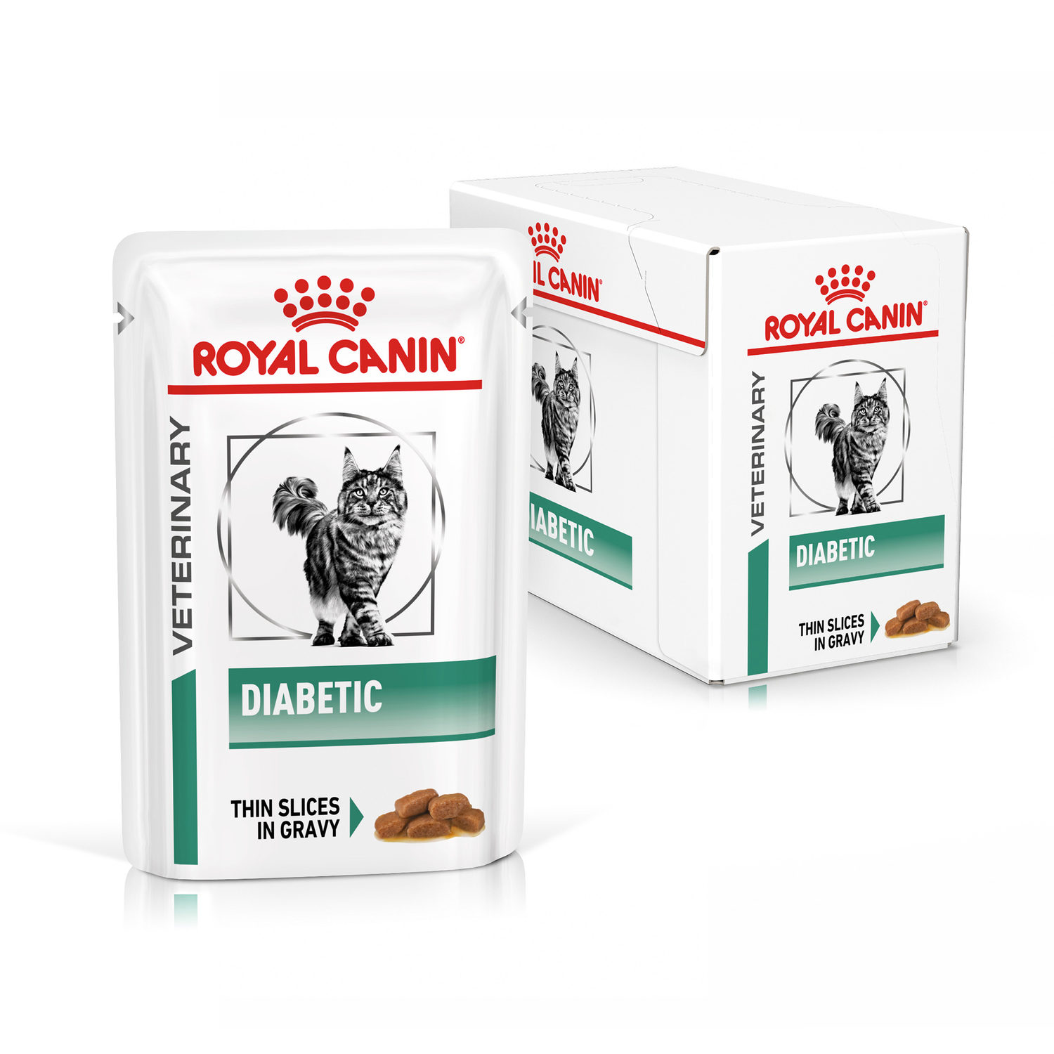 Royal Canin Diabetic cat | Order Online