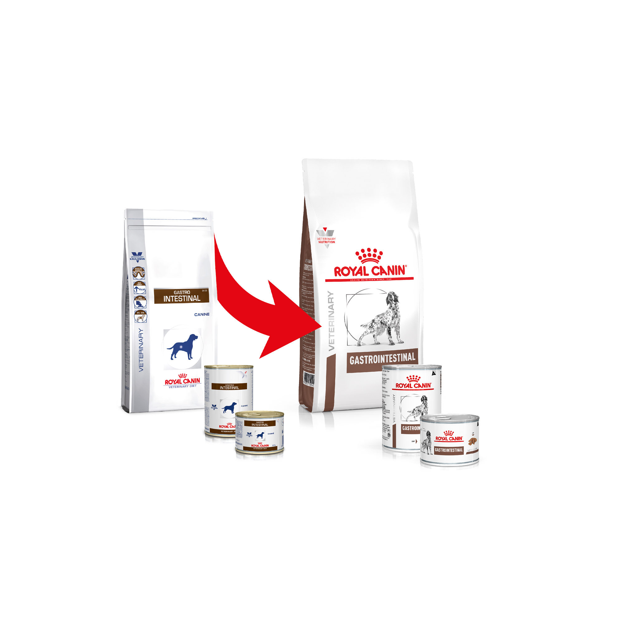 Royal Canin Gastro Intestinal Dog | Order Online