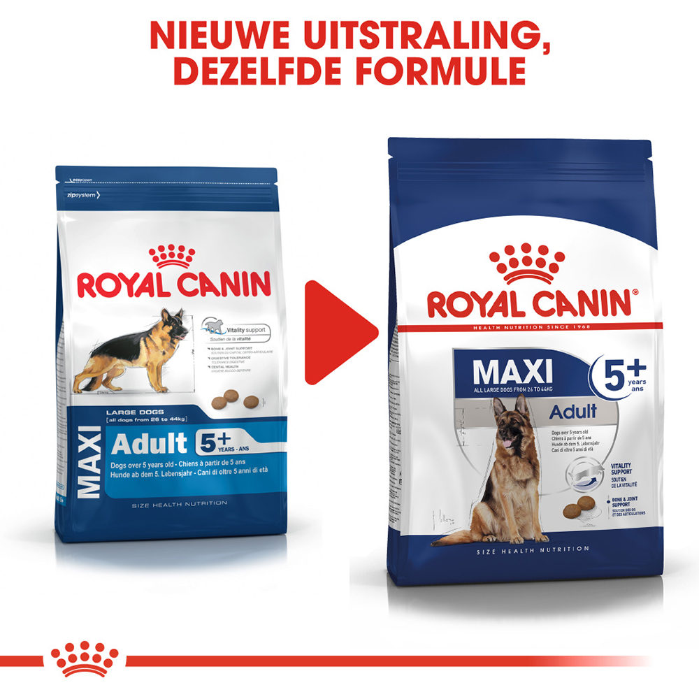 Royal Canin Maxi Adult 5+ | Hond | Bestellen