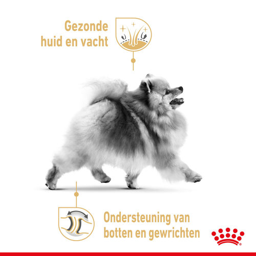 Royal Canin Pomeranian Adult | Hunde | Bestellen