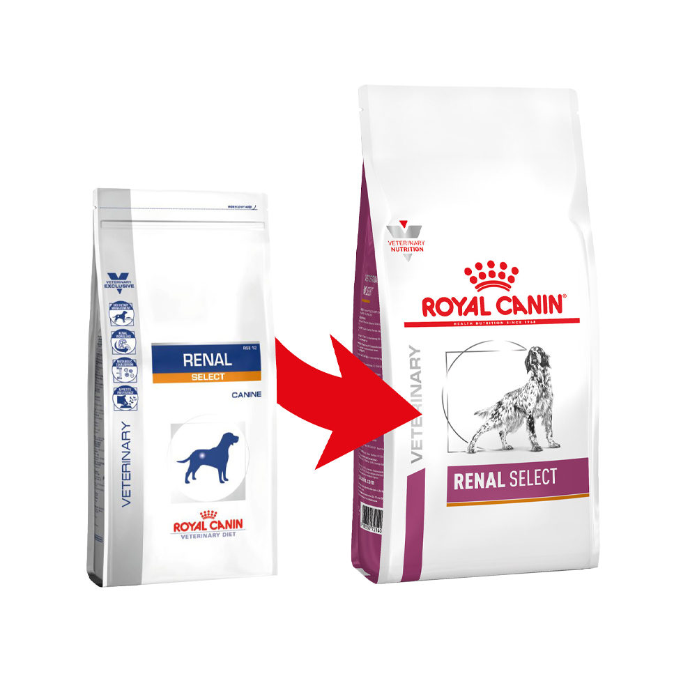 Royal Canin Renal Select Hund | Bestellen