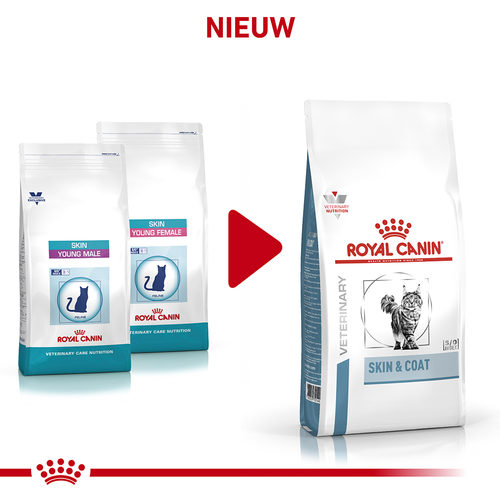 Royal Canin Skin & Coat | Katten | Bestellen