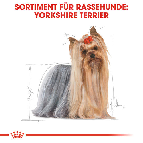 Royal Canin Yorkshire Terrier Adult Wet