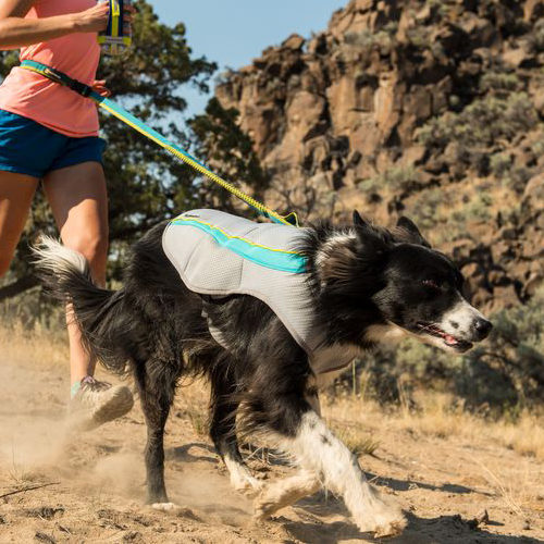 Ruffwear Swamp Cooler | Hund | Bestellen