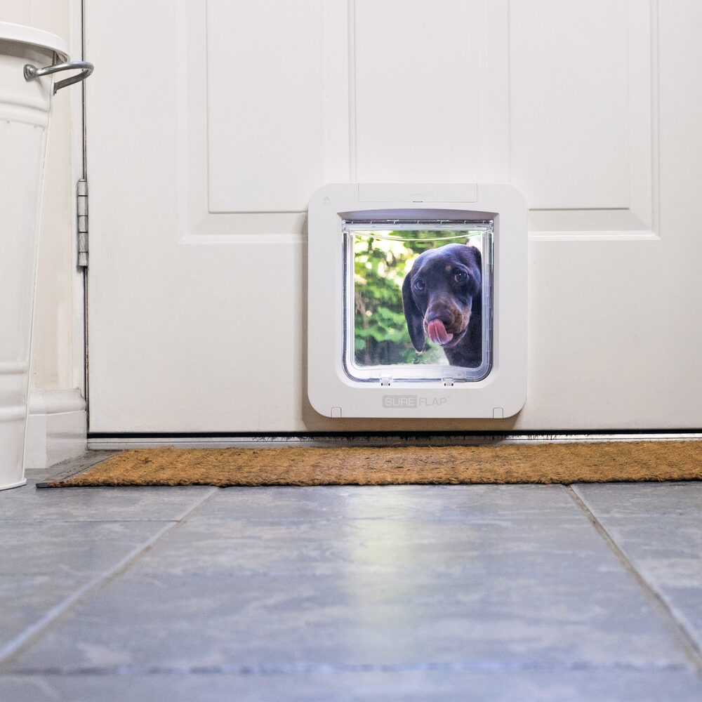 SureFlap Microchip Huisdierluik Connect | Hond & Kat