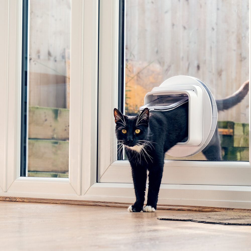 SureFlap Microchip Kattenluik Connect | Katten