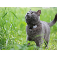 Tabcat Cat Tracker | Katzen | Bestellen