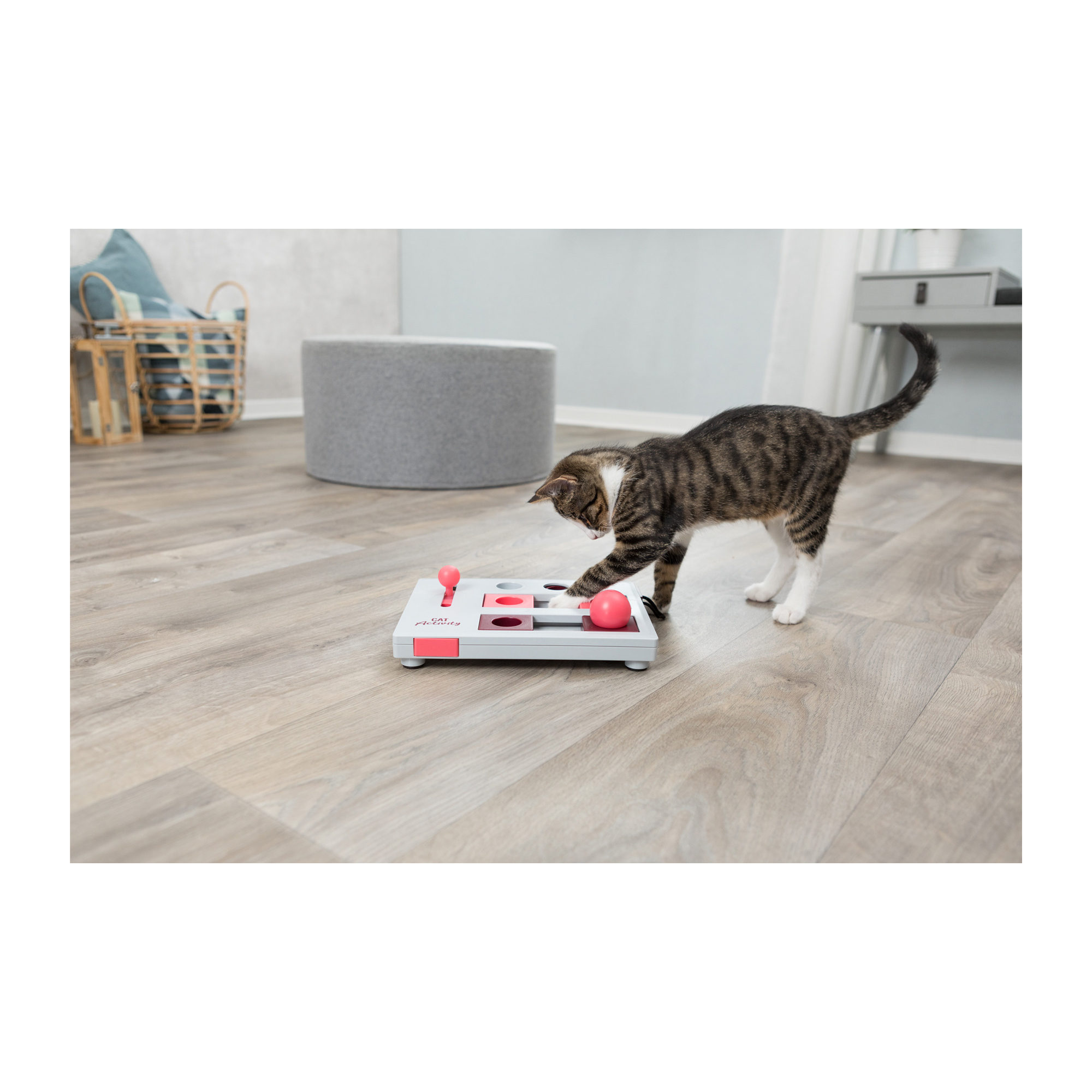 Trixie Cat Activity Brain Mover | Katten | Bestel