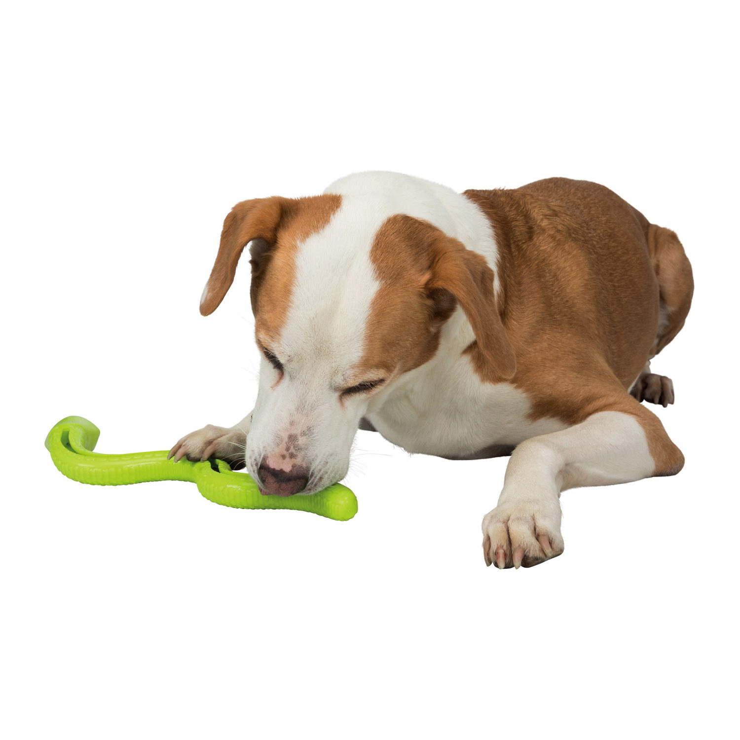 Trixie Snack-Snake | Hunde | Bestellen
