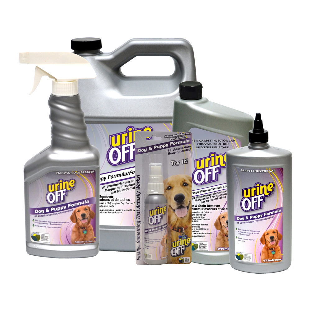 Urine Off Dog | Removal of Stains and Odours | Dog