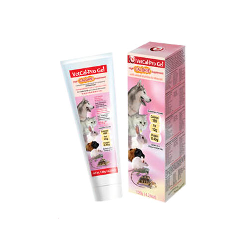 Royal Canin Recovery Liquid | Hond & Kat | Bestel