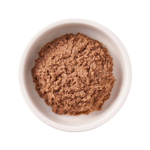 Yarrah - Multi Pack Kat Bio | Kat | Bestellen